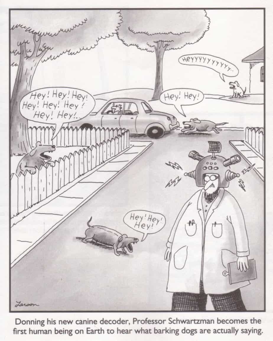 Gary Larson human decoder | SLAP HAPPY LARRY