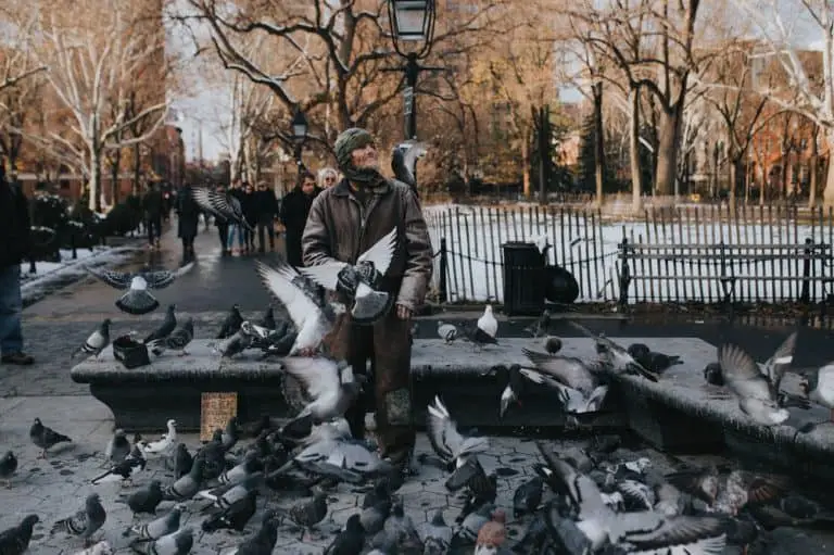 Zoomorphism and Chremamorphism | SLAP HAPPY LARRY