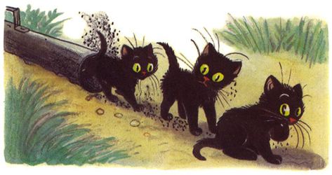 Tobermory Short Story by Saki Analysis | SLAP HAPPY LARRY