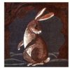 Rabbits and Hares in Art and Storytelling | SLAP HAPPY LARRY