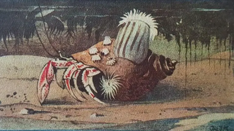 Cryptobotany and Creepy Trees In Stories and Art | SLAP HAPPY LARRY