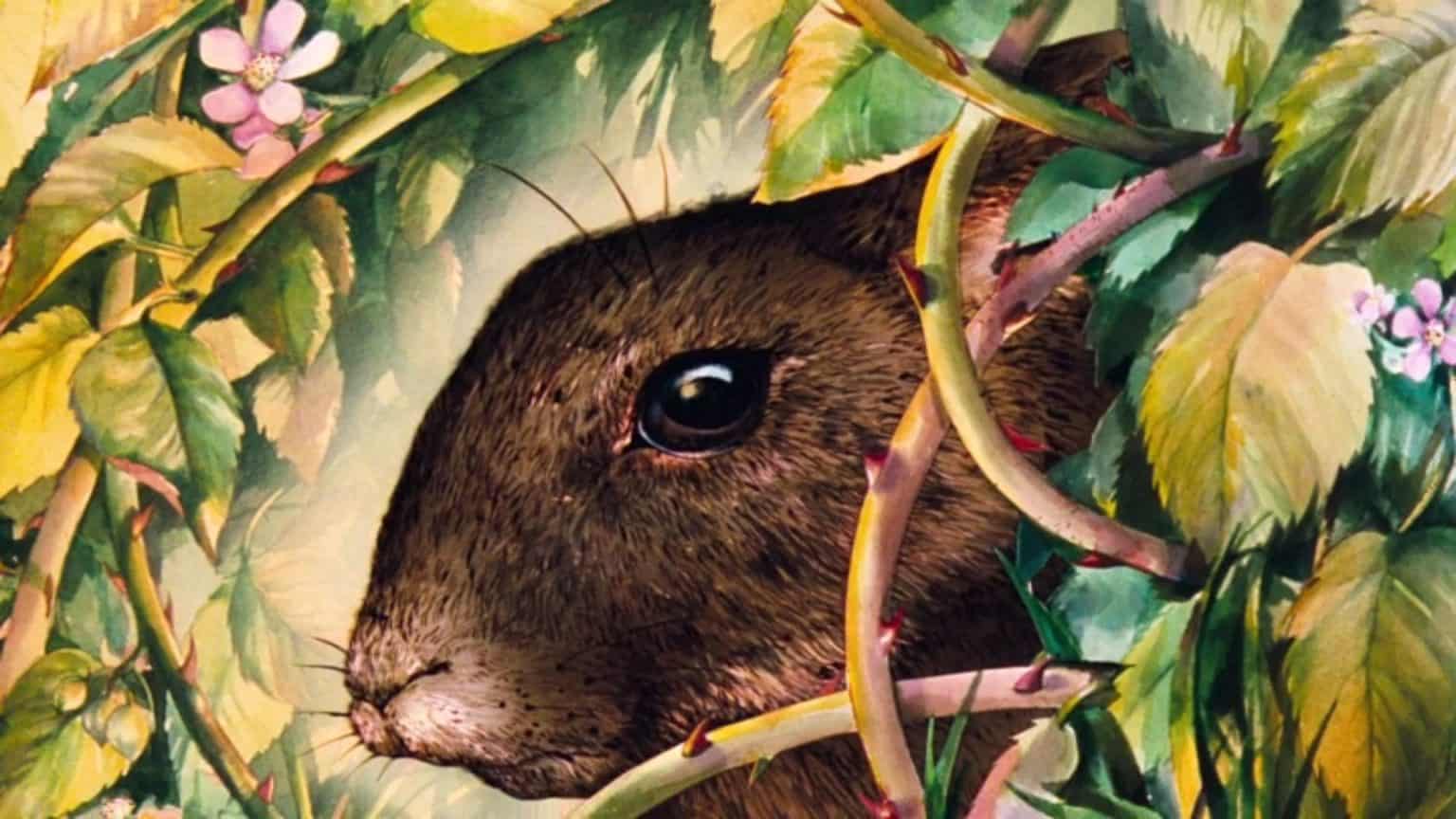 Rabbits and Hares in Art and Storytelling | SLAP HAPPY LARRY