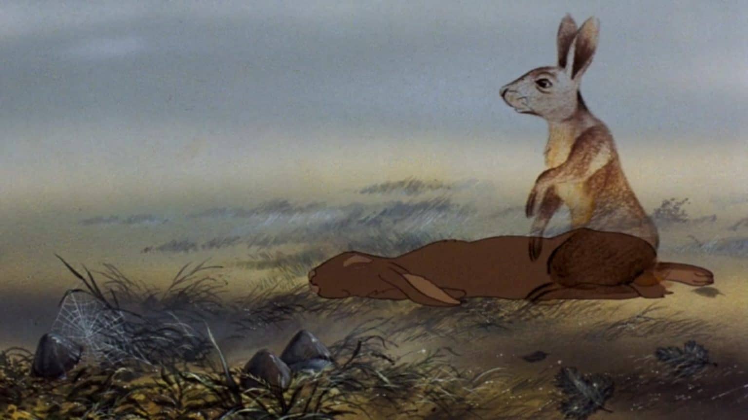 Rabbits and Hares in Art and Storytelling | SLAP HAPPY LARRY