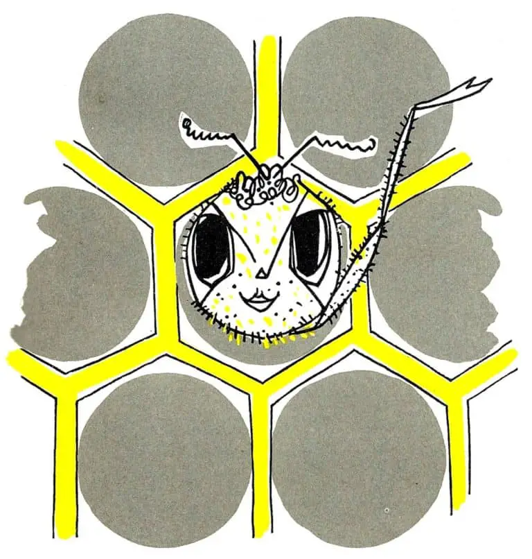 Bees and Wasps in Art and Illustration | SLAP HAPPY LARRY