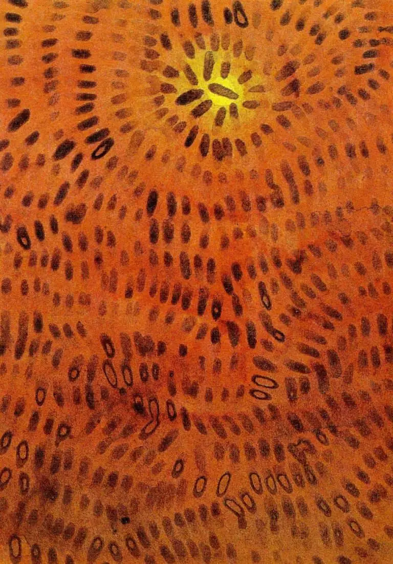 Bees and Wasps in Art and Illustration | SLAP HAPPY LARRY