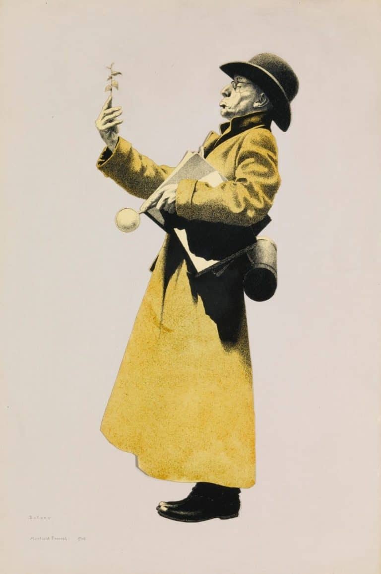 Cryptobotany and Creepy Trees In Stories and Art | SLAP HAPPY LARRY