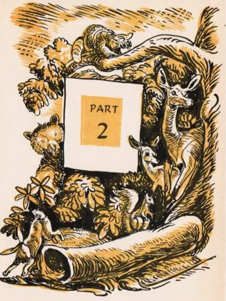 Yellow and Black in Illustration | SLAP HAPPY LARRY