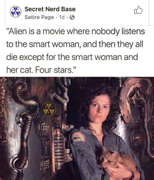 Witches' Cats In Art and Storytelling | SLAP HAPPY LARRY