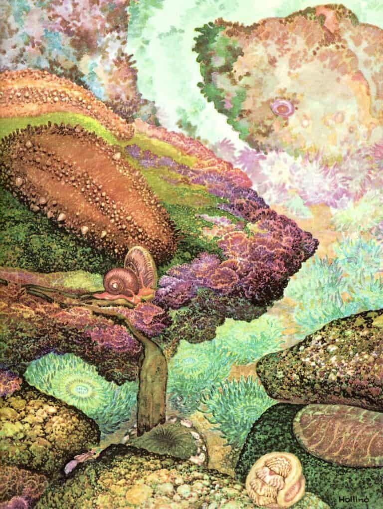 What is psychedelic art? | SLAP HAPPY LARRY
