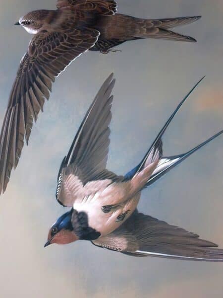 The Cosy House and Barn | SLAP HAPPY LARRY