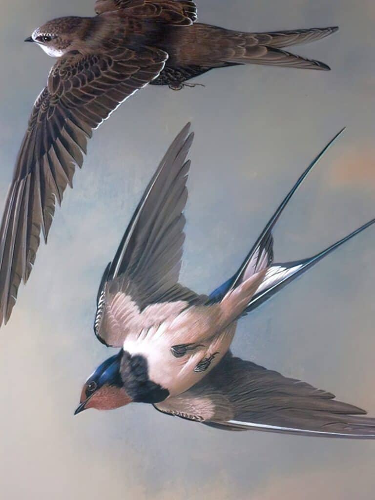 The Cosy House and Barn | SLAP HAPPY LARRY