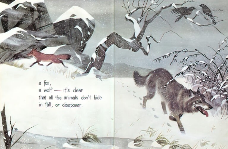 Wolves In Children's Literature | SLAP HAPPY LARRY