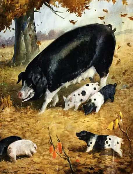 Pigs In Art And Children's Literature | SLAP HAPPY LARRY