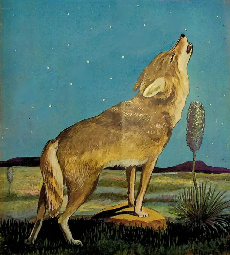 Wolves In Children's Literature | SLAP HAPPY LARRY