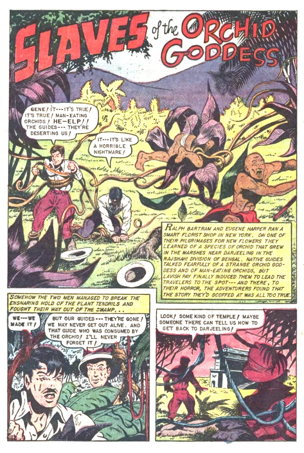 Cryptobotany and Creepy Trees In Stories and Art | SLAP HAPPY LARRY