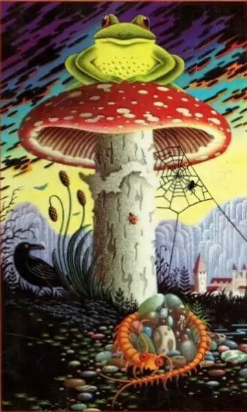 Mushrooms In Children's Illustration | SLAP HAPPY LARRY