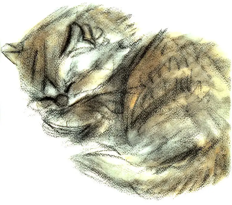 Tobermory Short Story by Saki Analysis | SLAP HAPPY LARRY