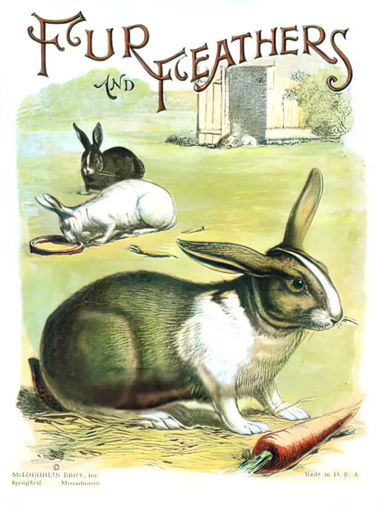 Rabbits and Hares in Art and Storytelling | SLAP HAPPY LARRY