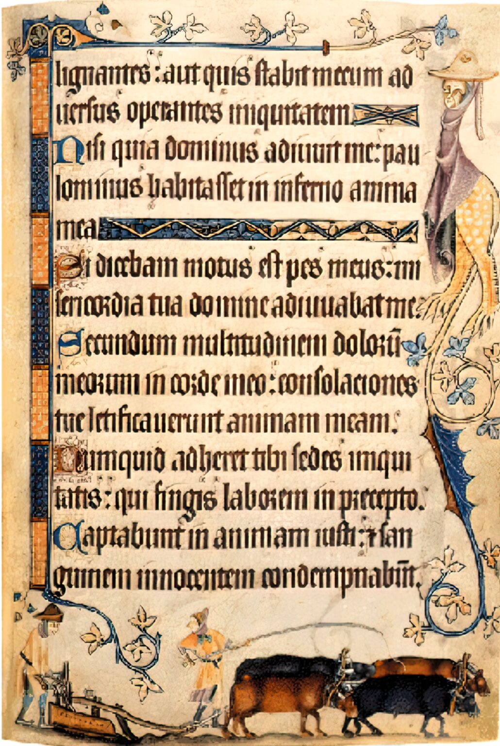 The Role Of The Chimera In Storytelling | SLAP HAPPY LARRY