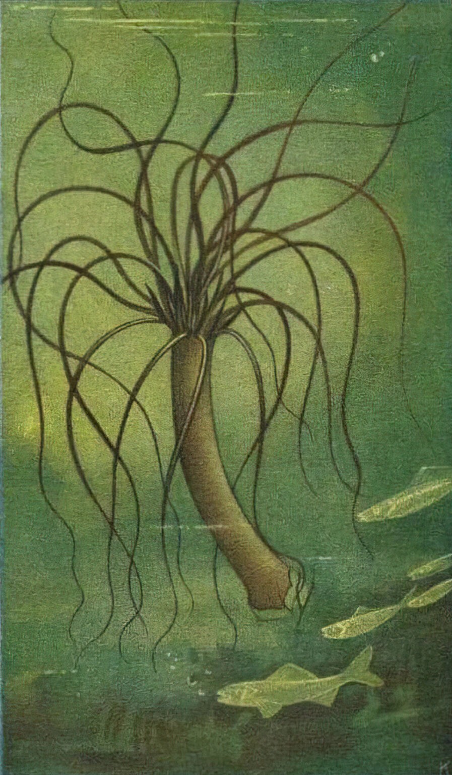 Cryptobotany and Creepy Trees In Stories and Art | SLAP HAPPY LARRY