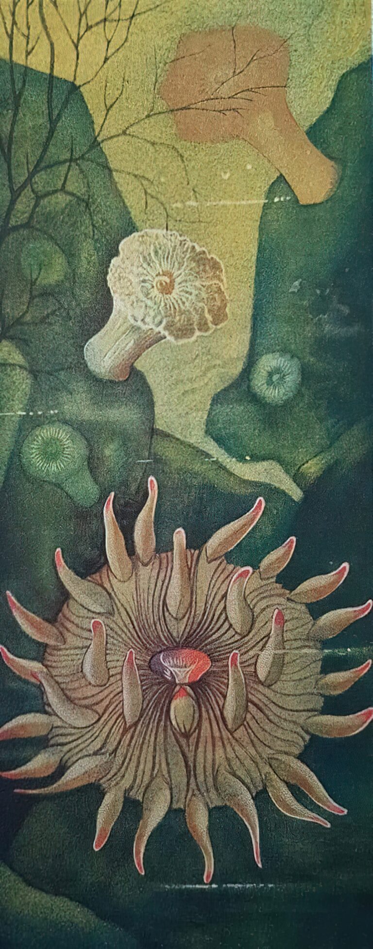 Cryptobotany and Creepy Trees In Stories and Art | SLAP HAPPY LARRY