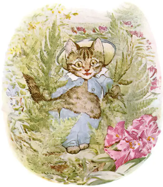The Tale of Tom Kitten by Beatrix Potter Analysis | SLAP HAPPY LARRY