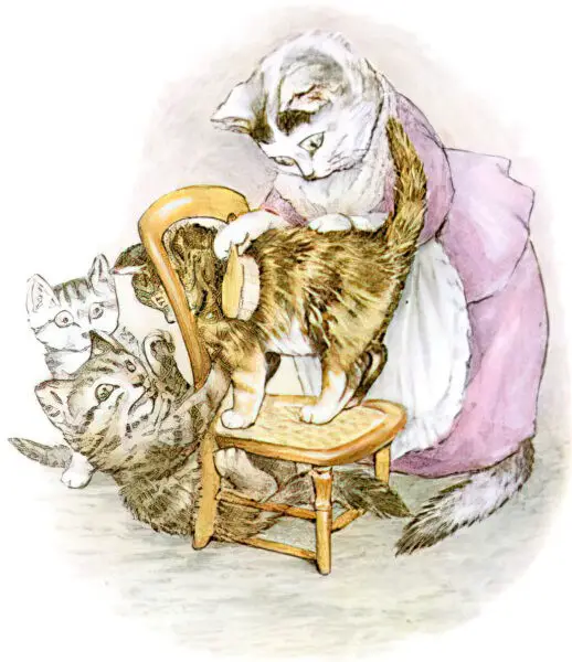 The Tale of Tom Kitten by Beatrix Potter Analysis | SLAP HAPPY LARRY