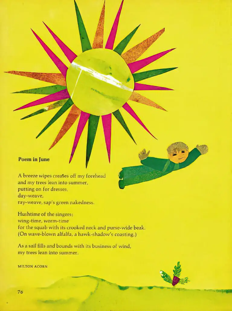 Eric Carle-esque Collage In Children's Illustration | SLAP HAPPY LARRY