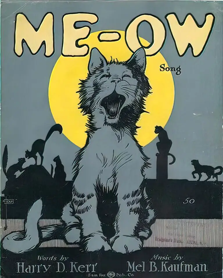 Unappealing Cats In Illustration | SLAP HAPPY LARRY