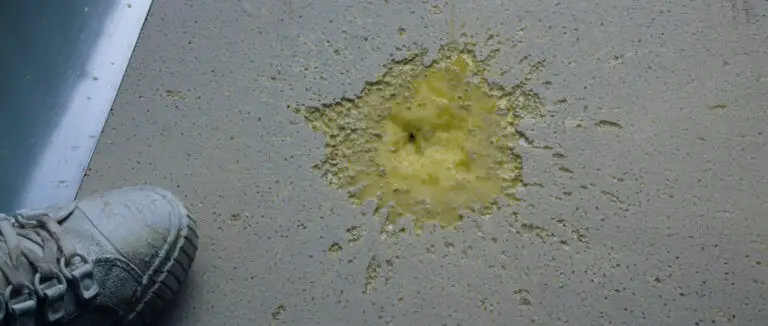 Ridley Scott's Alien (1979) Film Analysis | SLAP HAPPY LARRY