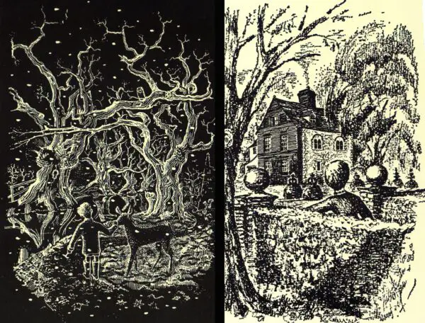 Illustrations Of The Forest At Night | SLAP HAPPY LARRY