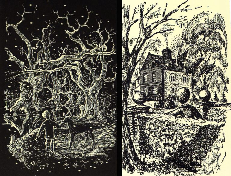 Illustrations Of The Forest At Night | SLAP HAPPY LARRY