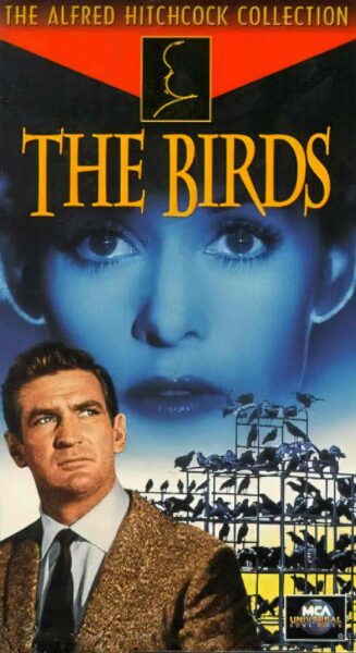 The Birds by Daphne du Maurier Short Story Analysis | SLAP HAPPY LARRY