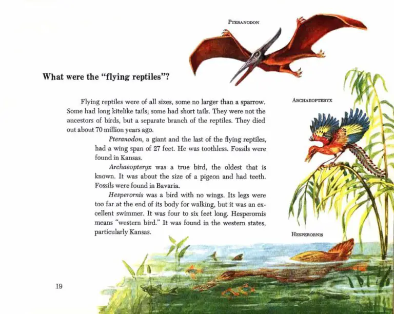 A Sound of Thunder by Ray Bradbury Analysis | SLAP HAPPY LARRY