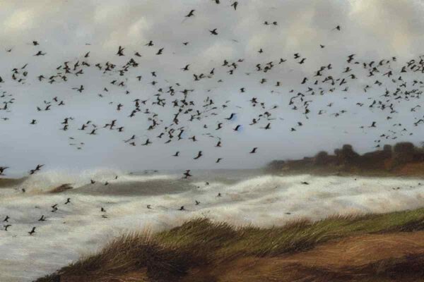 The Birds by Daphne du Maurier Short Story Analysis | SLAP HAPPY LARRY