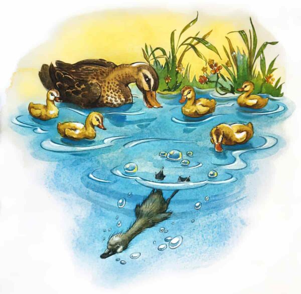 The Ugly Duckling by Hans Christian Andersen Fairy Tale Analysis | SLAP ...