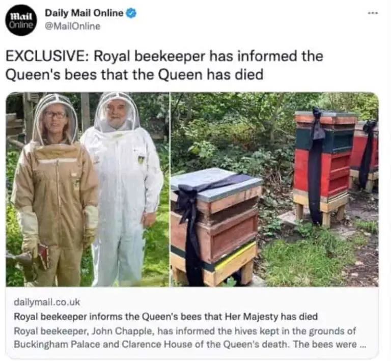 Bees and Wasps in Art and Illustration | SLAP HAPPY LARRY