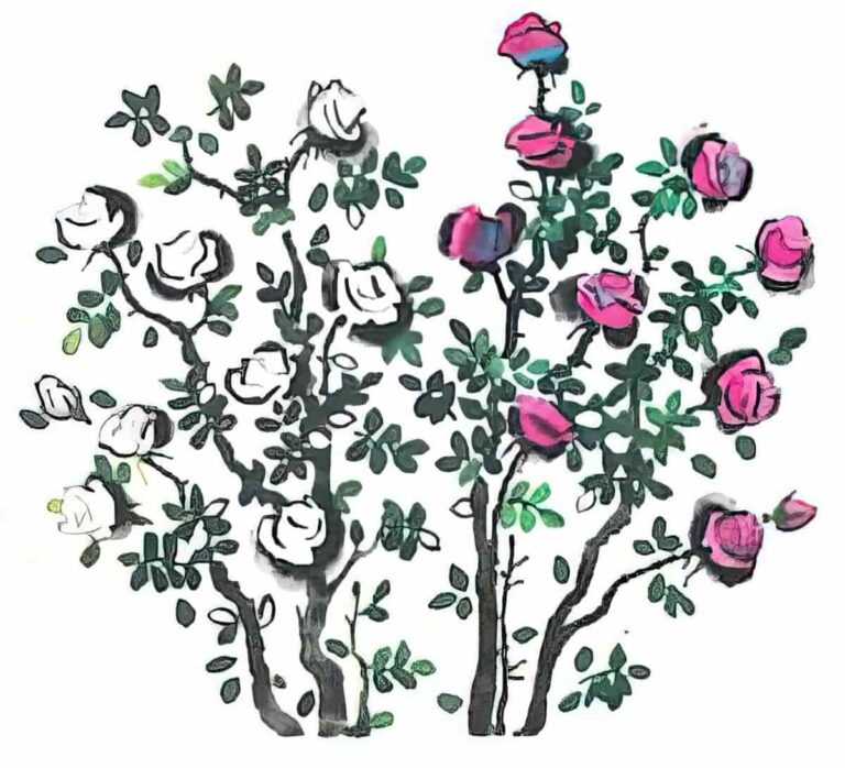 Snow White and Rose Red Fairytale Analysis | SLAP HAPPY LARRY