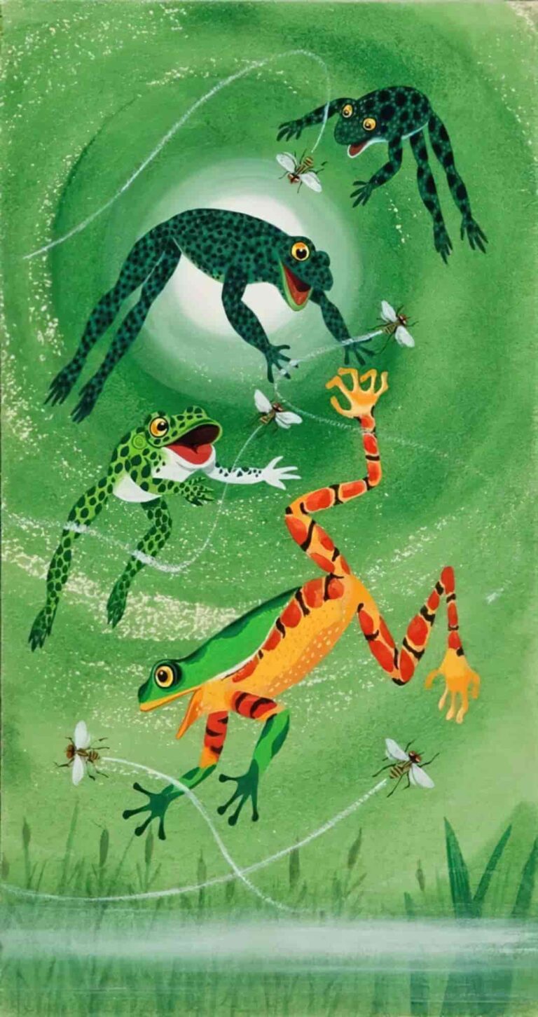 Frogs and Toads in Art and Storytelling | SLAP HAPPY LARRY