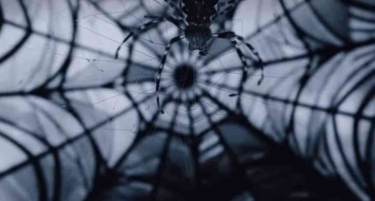 Wednesday's Child Is Full Of Woe: Symbolism and Close-reading | SLAP ...