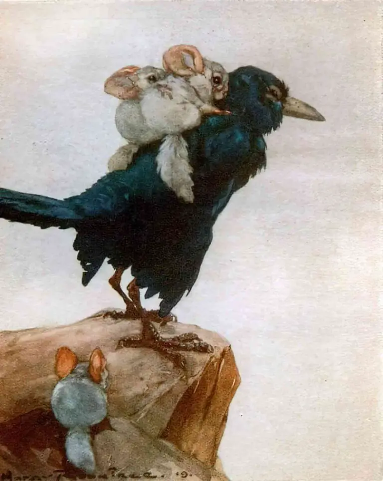 Animals Riding Other Animals In Illustration | SLAP HAPPY LARRY