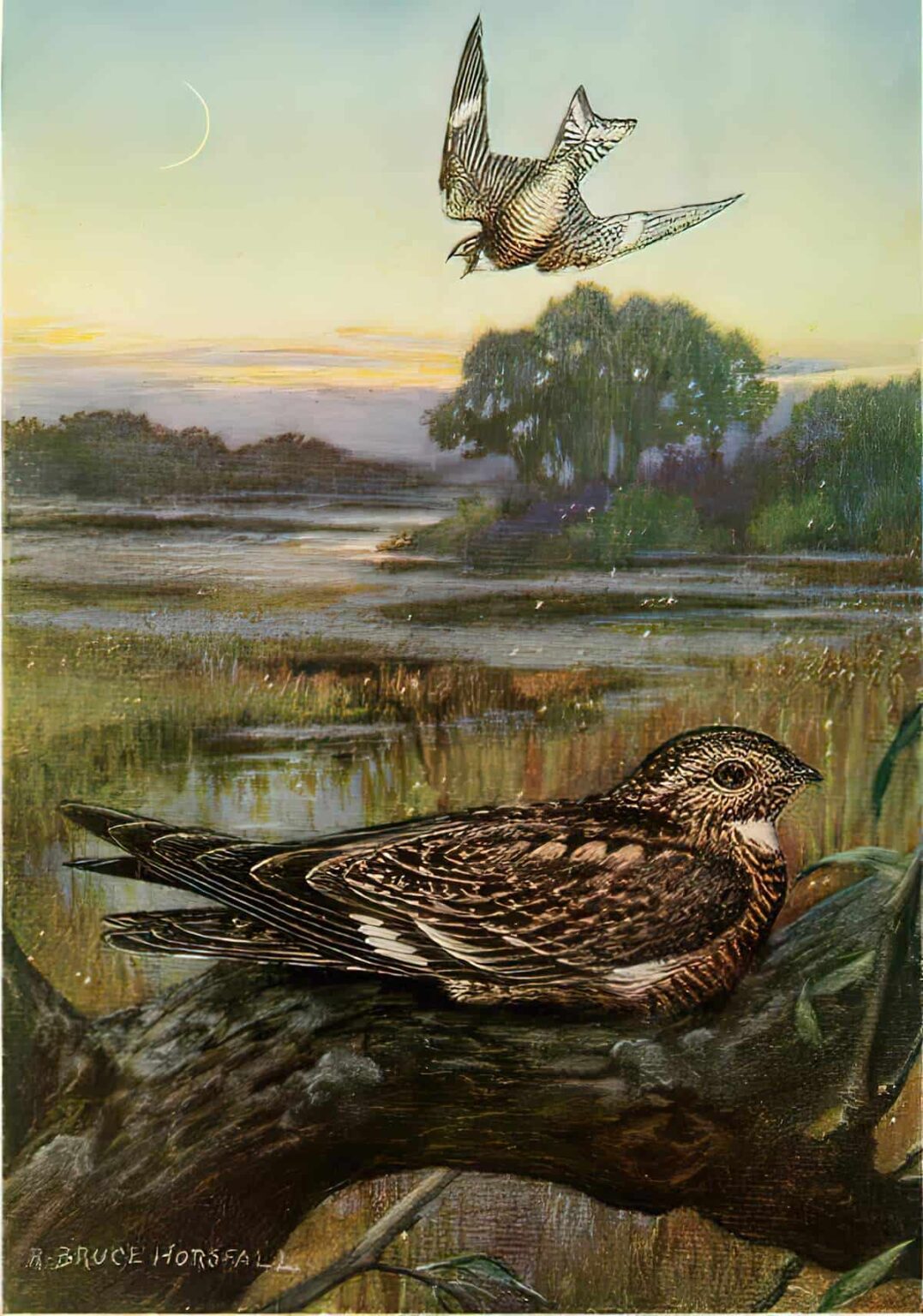 Writing Activity: Scene In A Restaurant, Café or Eatery | SLAP HAPPY LARRY