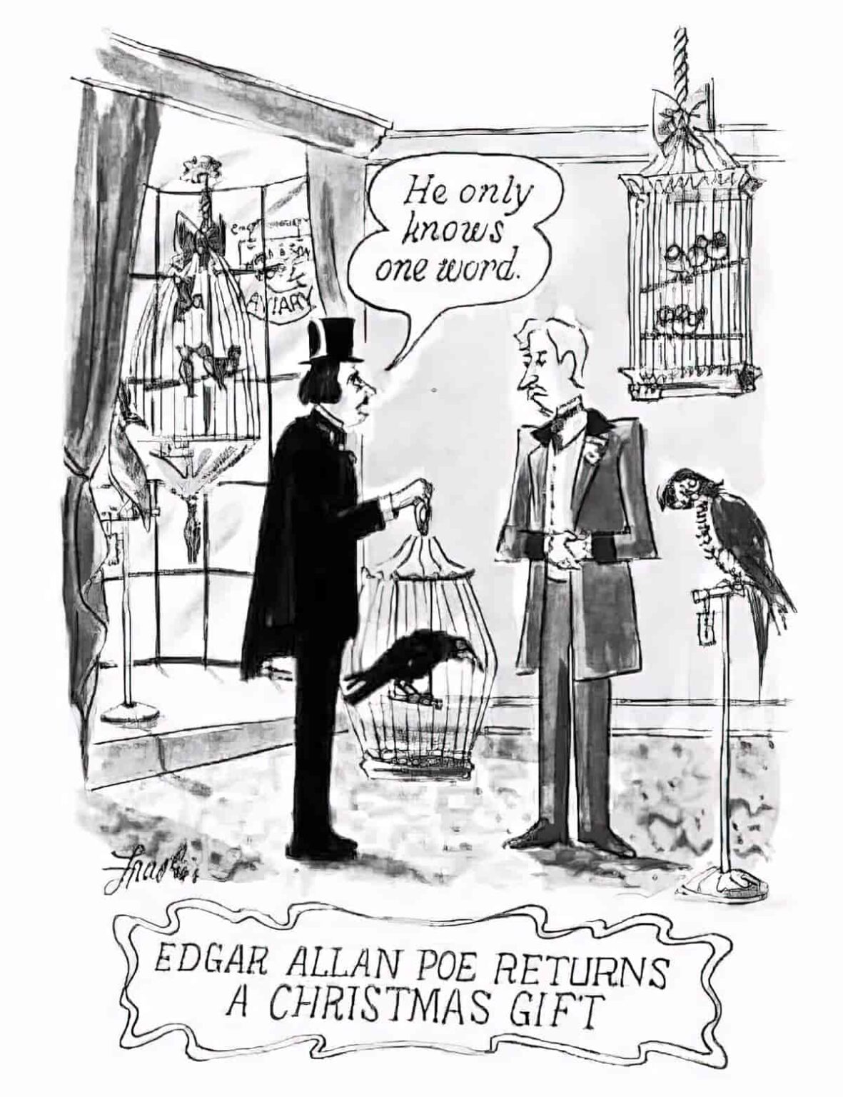 Raven and Crow Symbolism | SLAP HAPPY LARRY