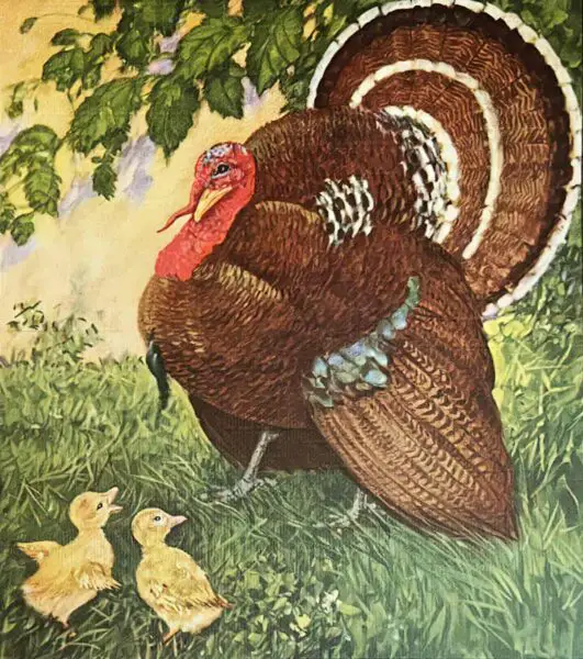 Art For Thanksgiving | SLAP HAPPY LARRY