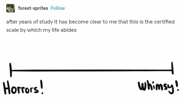 Whimsy: What does it mean for a book to be whimsical? | SLAP HAPPY LARRY