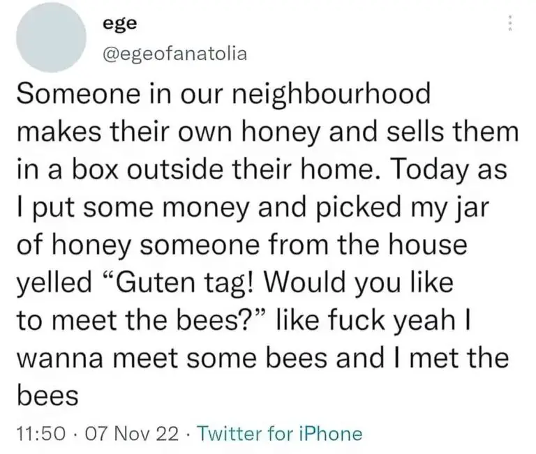 Bees and Wasps in Art and Illustration | SLAP HAPPY LARRY