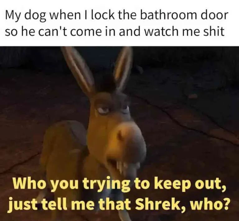 Shrek! Picture Book by William Steig Analysis | SLAP HAPPY LARRY